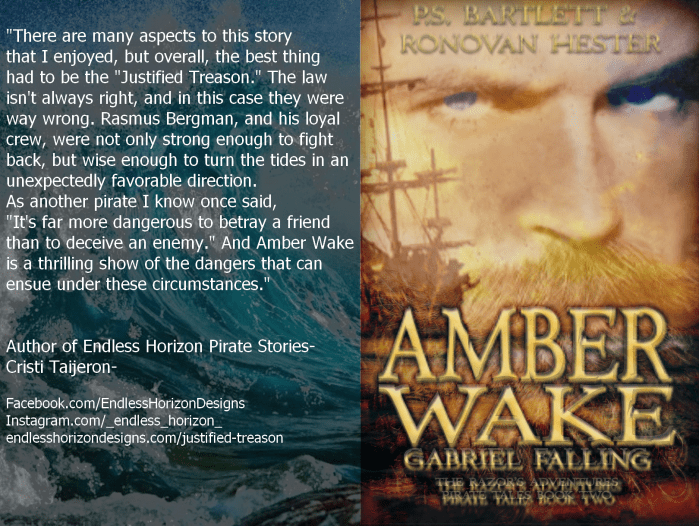 Amber Wake: Gabriel Falling review by author Cristi Taijeron ...
